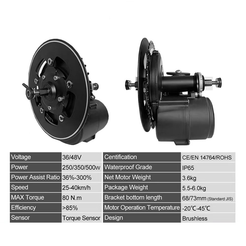 How to Choose the Best Torque Arm Ebike for Your Needs