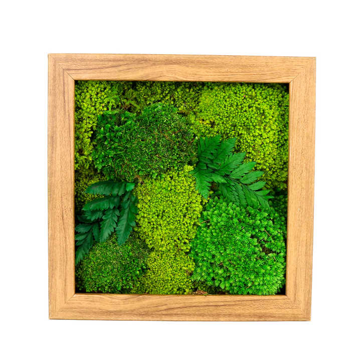 Customized Office Decoration - 3D Real Natural Moss Art