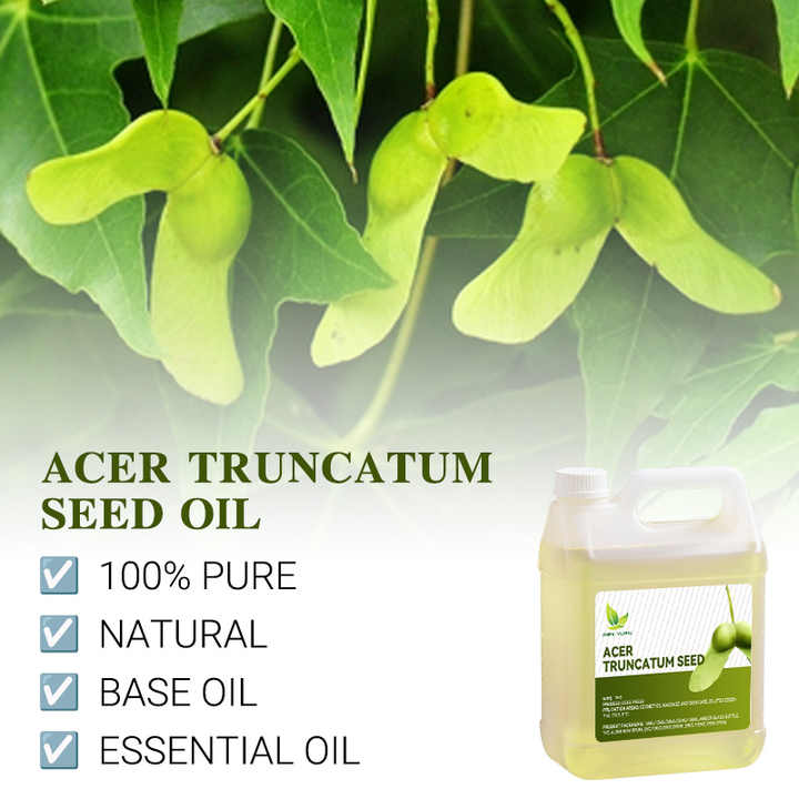 Skin Hair and Body Premium Natural Extracted Essence Acer Truncatum ...
