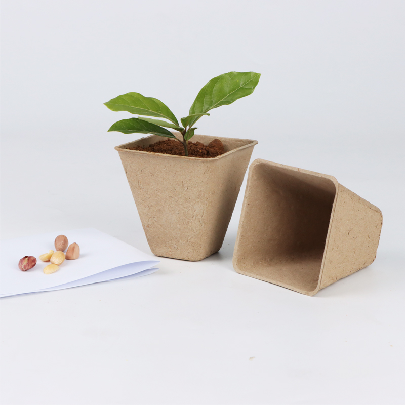 How to Choose the Best Dippers Plant Base for Your Needs