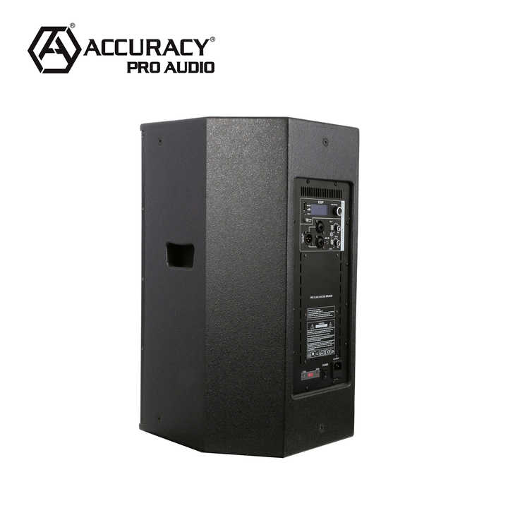 Accuracy Pro Audio WHN15D3 - Professional Active Speakers