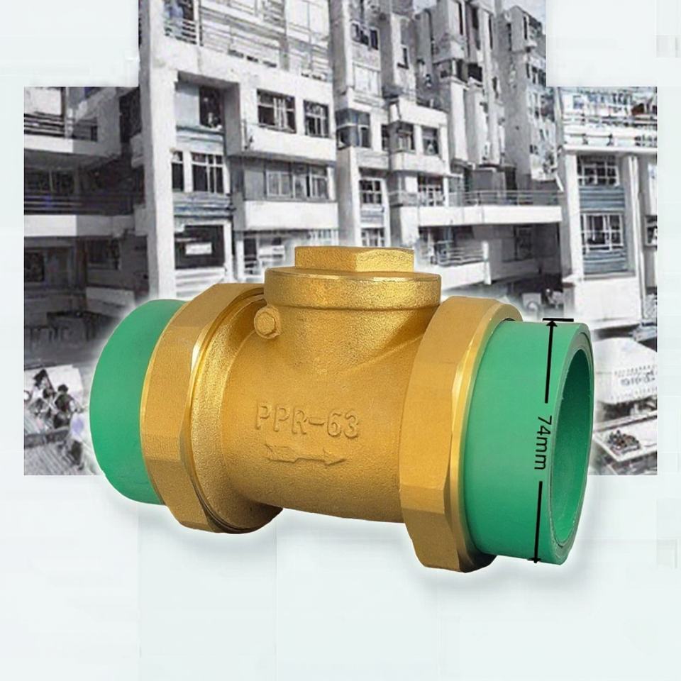 Manual Water PPR Brass Swing Check Non Return Valve DN20-DN63 Double ...