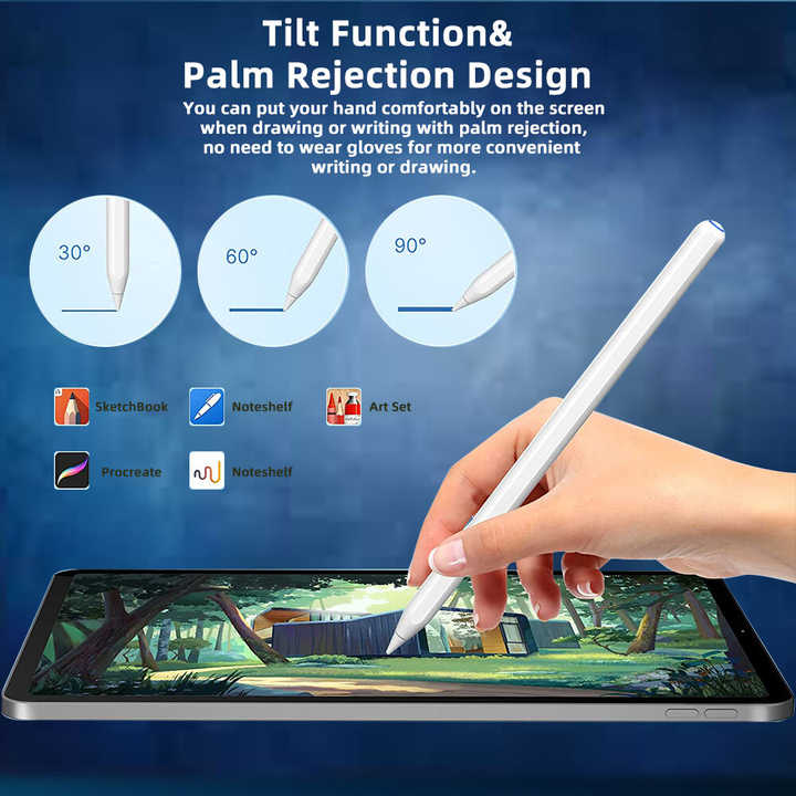 Ruidian 2024 Luxury iPad Stylus Pen New 730 Tilt Angle Sensing Stylus ...