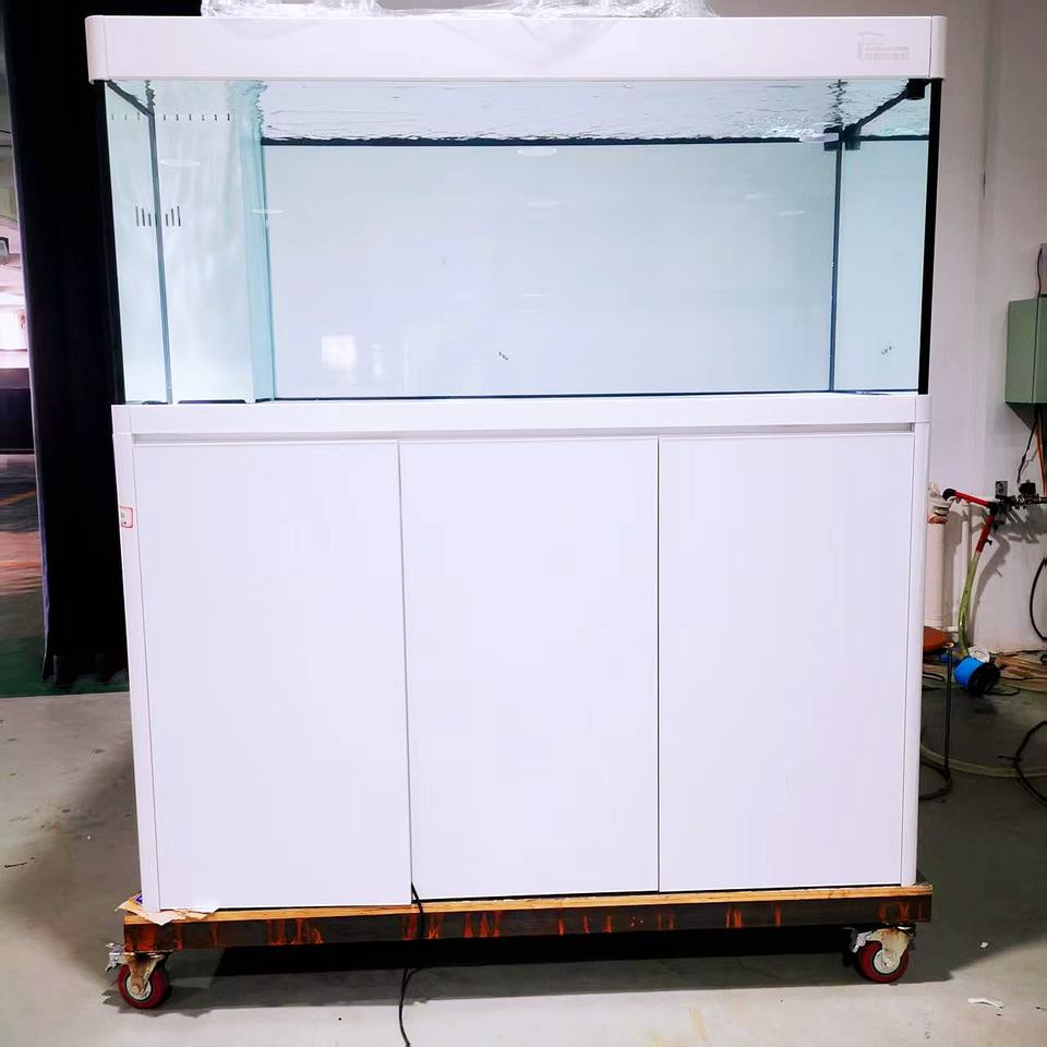 Factory Direct Supply Deluxe 15mm Glass Fish Tank Long Commercial Hall ...