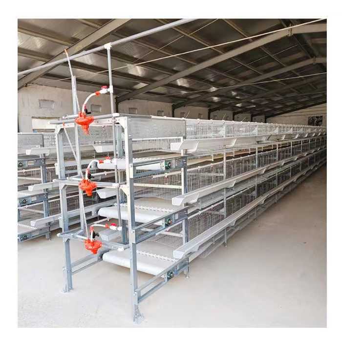 Automatic Chicken Cages for Layer Poultry Farms - H Type