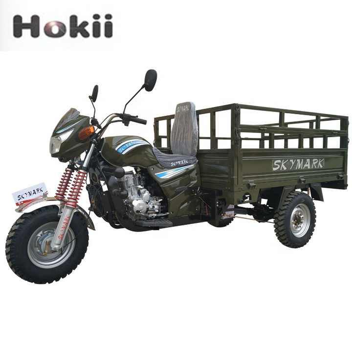 200cc Gas Motorized Tricycle Motorcycle - 3 Wheel Load Carrying Vehicle ...