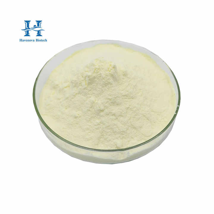 Enterococcus Faecalis High Potency Probiotics Powder Premium Raw ...