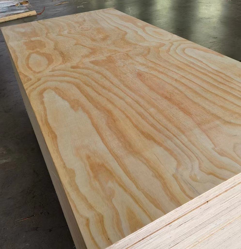 How to Choose Pine Plywood: A Complete Buying Guide for 2026