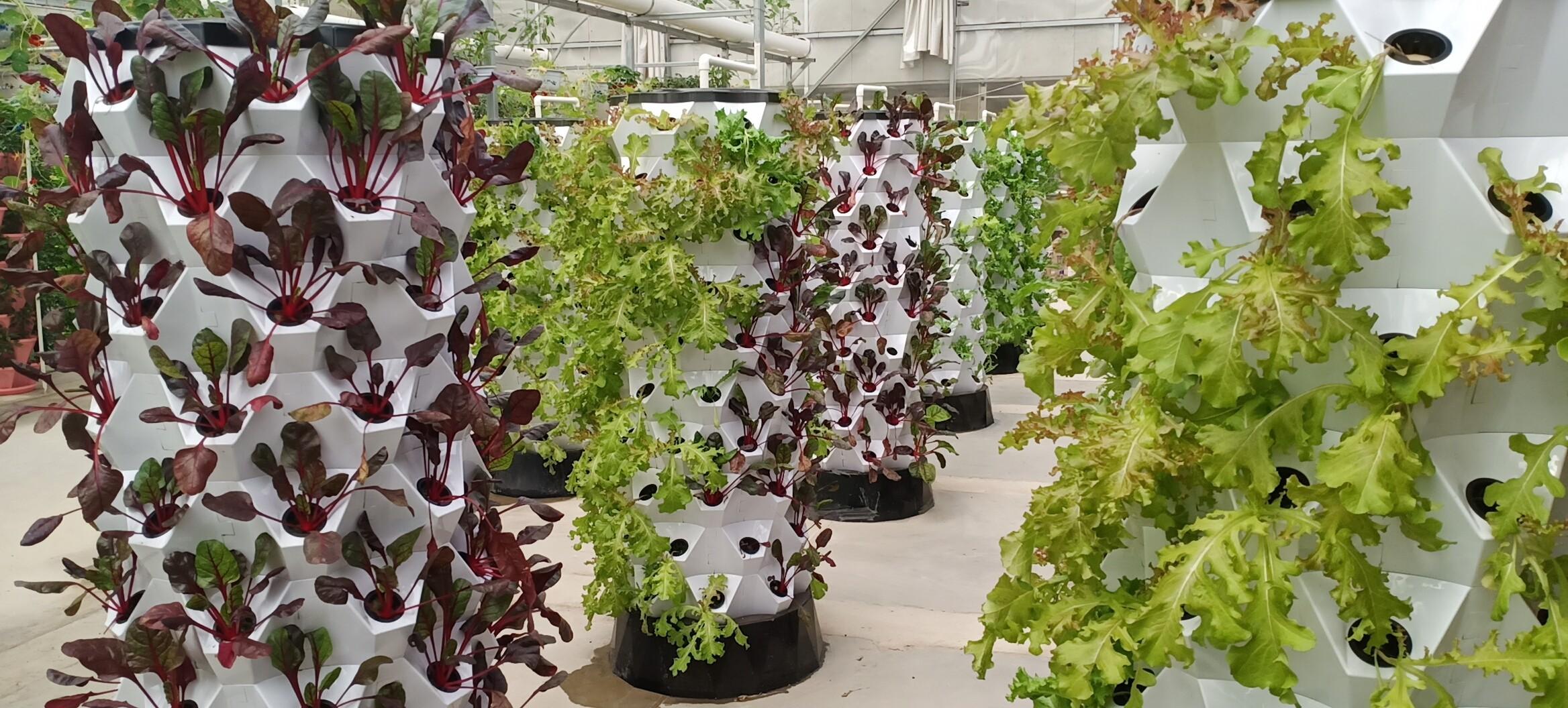 Aeroponic Planting Tower Vertical Garden Hydroponic System Products ...