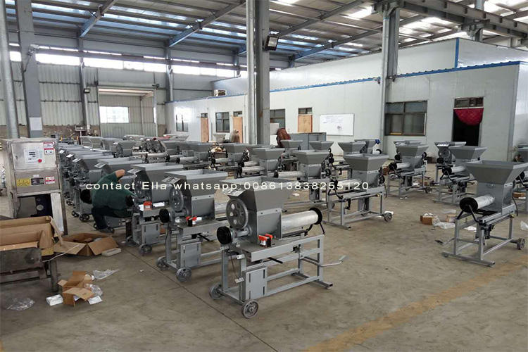 Mushroom Matrix Bagging Machine/Edible Fungus Planting Production Line ...