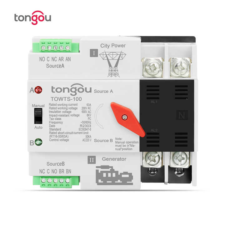 TONGOU 2P ATS Automatic Transfer Switch Selector 16A-100A Electrical ...