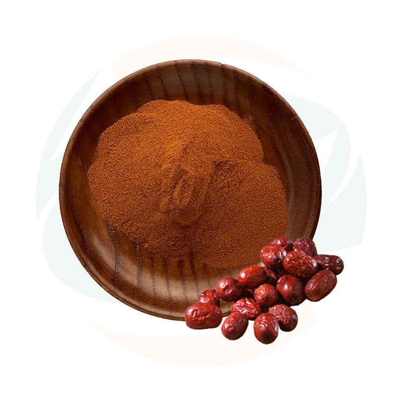 China-Herb Supply Premium Jujube Extract Powder | Natural Chinese Herb ...