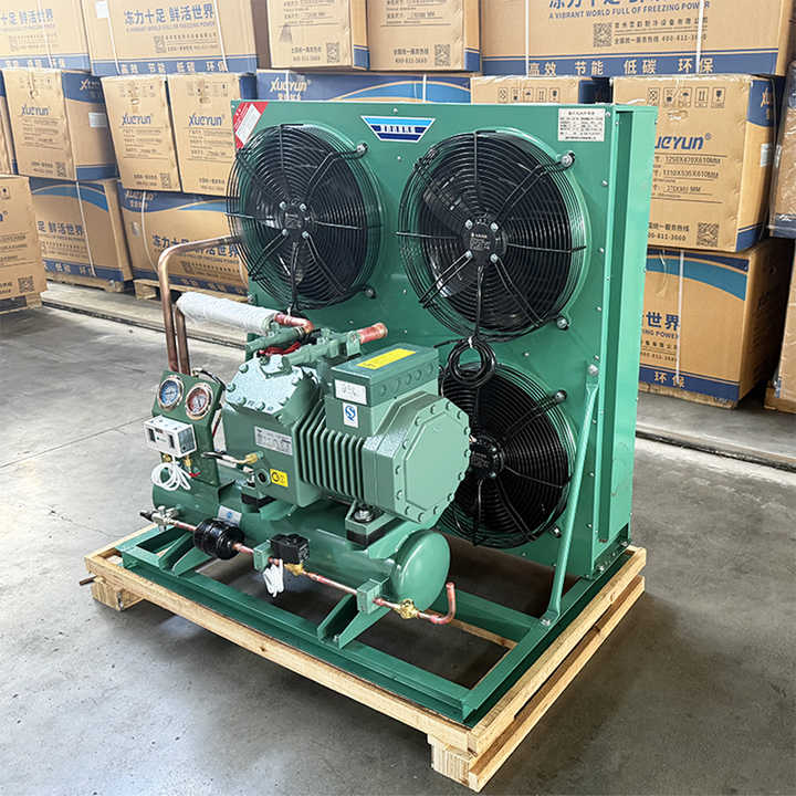5HP Semi-Hermetic Compressor Condensing Unit by Bitzer Air-Cooled for ...