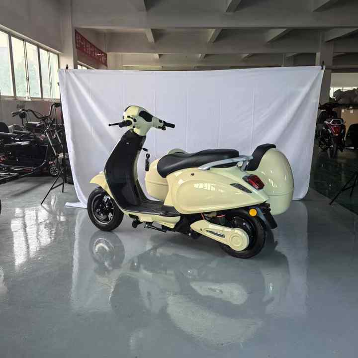 Tesla Electric Side-by-Side Tricycle 1500W for 3 Passengers