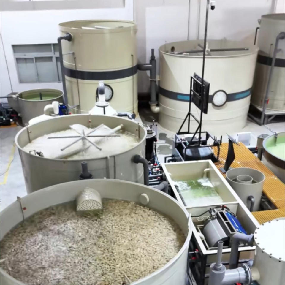 Automated RAS Water Recirculation Aquaculture-Water-Saving Freshwater ...