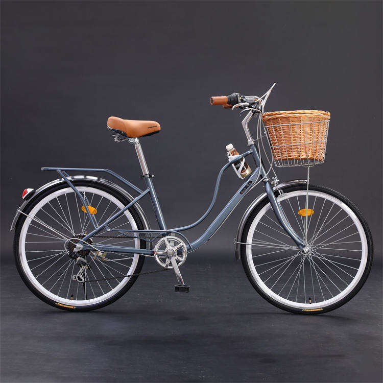 Shop 2023 Cheap Adult Lady Bicycles - City Bike EU Warehouse
