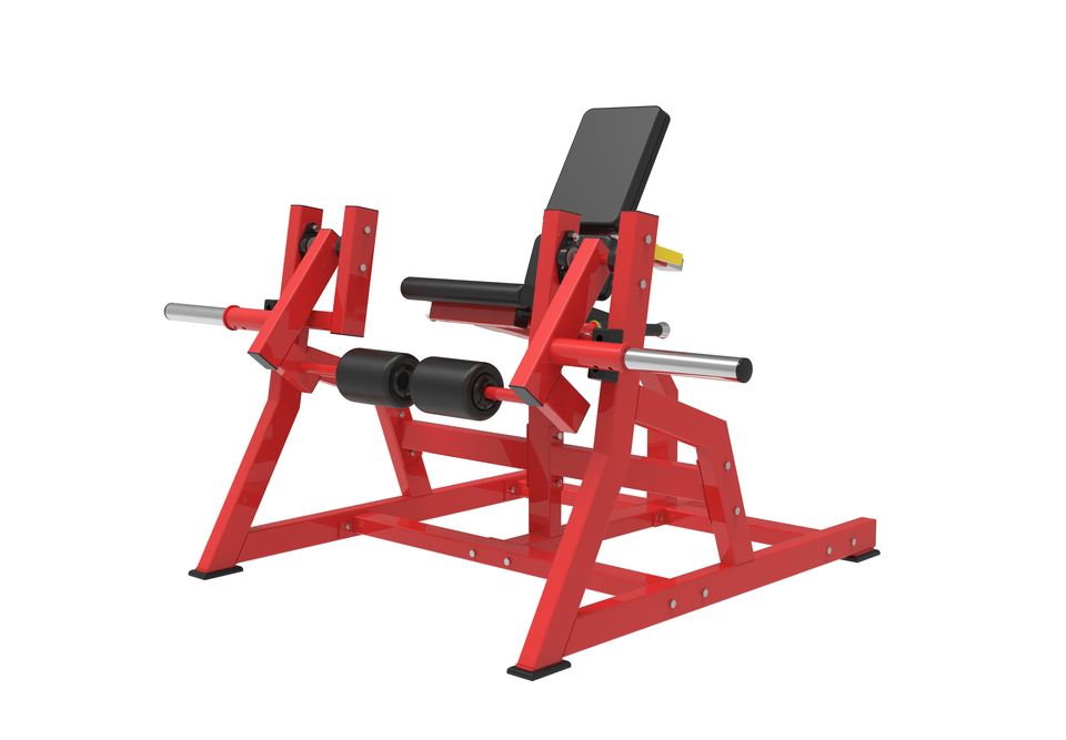 ISO-Lateral Rear Deltoid Plate Loaded Machine-Steel Construction Safety ...