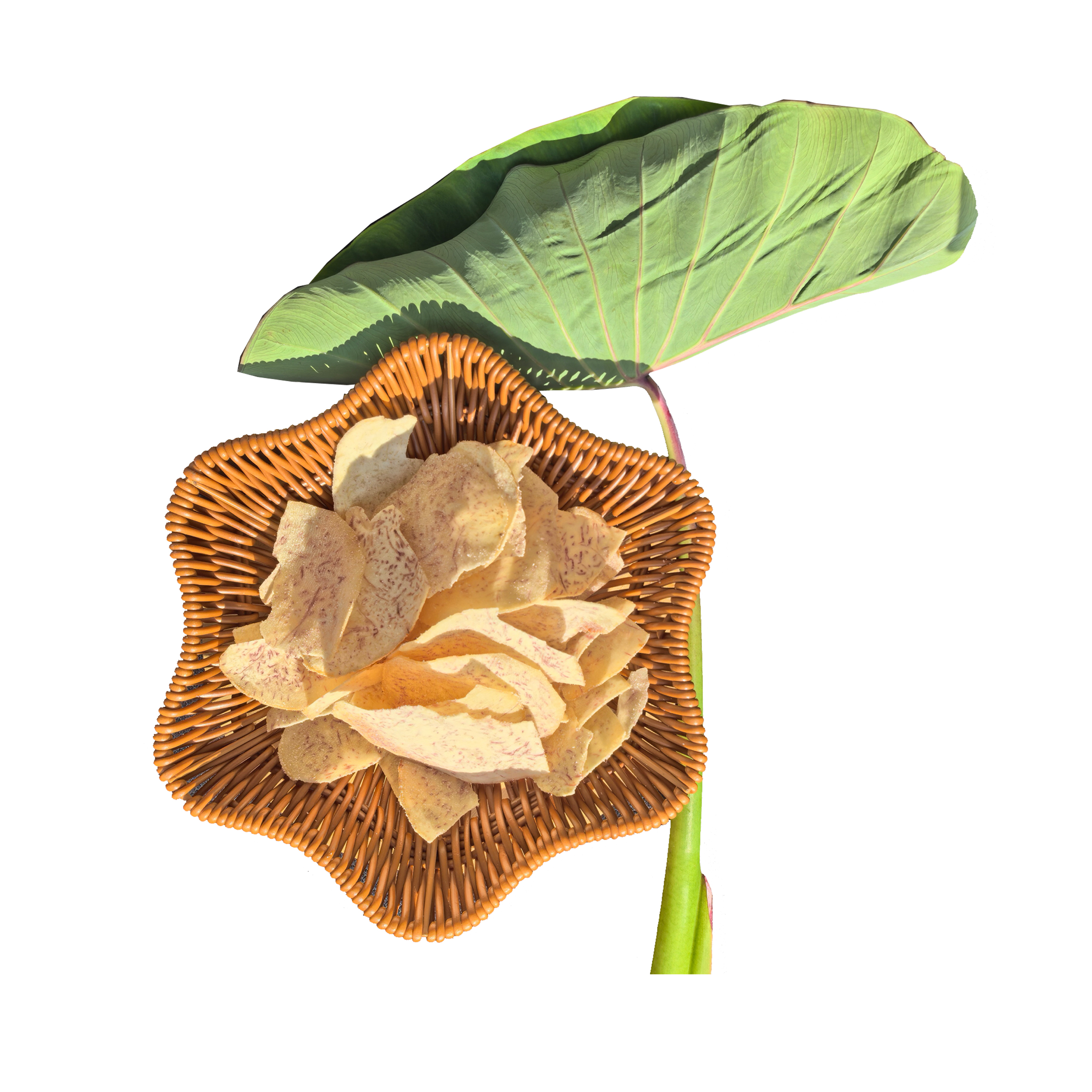 Crispy Taro Chips - Healthy Snack Alternatives for Diabetics