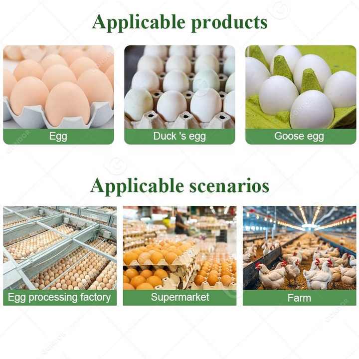 Mechanical Sorting and Printing Mac Small Capacity Grading Classifier ...