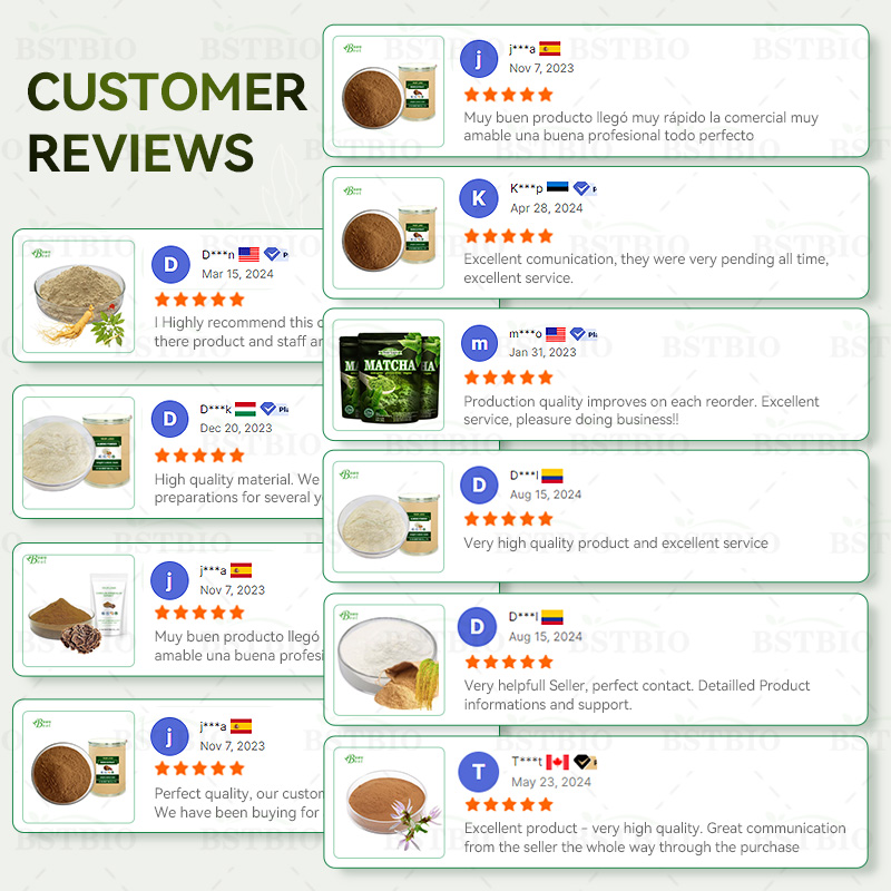 How to Choose the Best Noni Root: A Complete Buying Guide