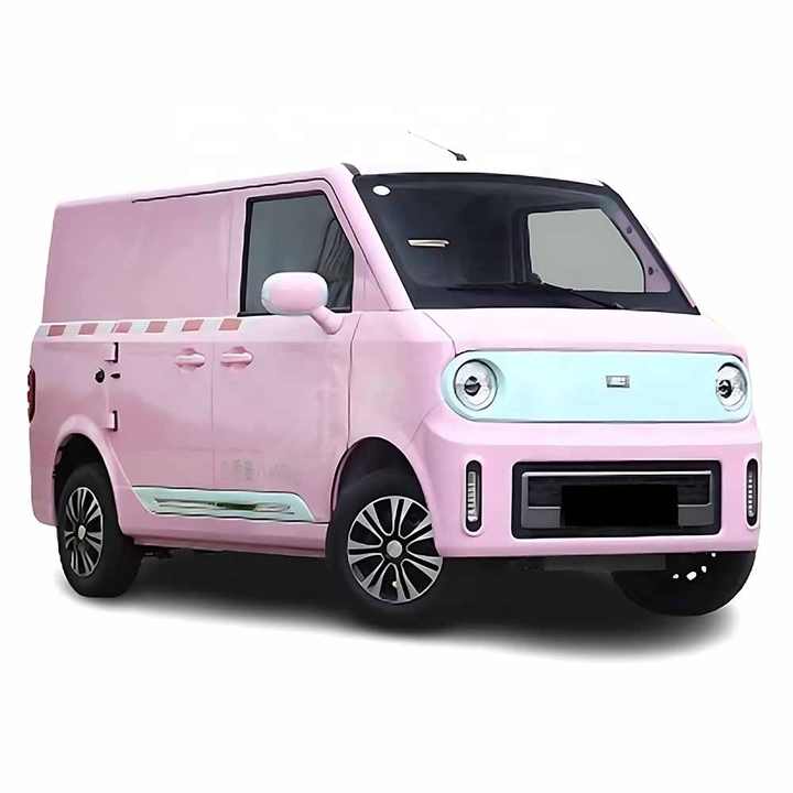 Chesh 01 Electric Small Truck - Perfect for Snack Sales