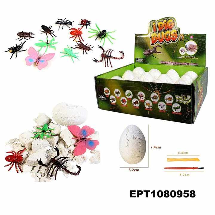 EPT Dollartoys Promotion National Geographic Bug Fossil Dig Kit Stem ...