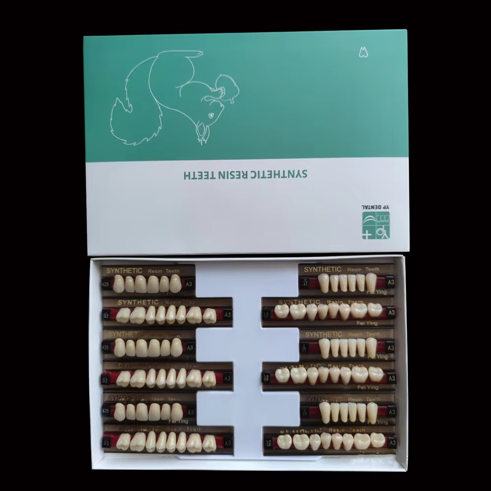 Discover Premium Feiying Dental Acrylic Teeth for Dentures | Feiying