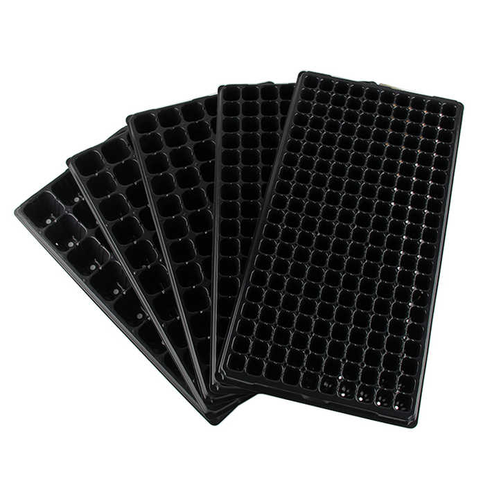 Eco-friendly Polystyrene Seedling Trays for Germination