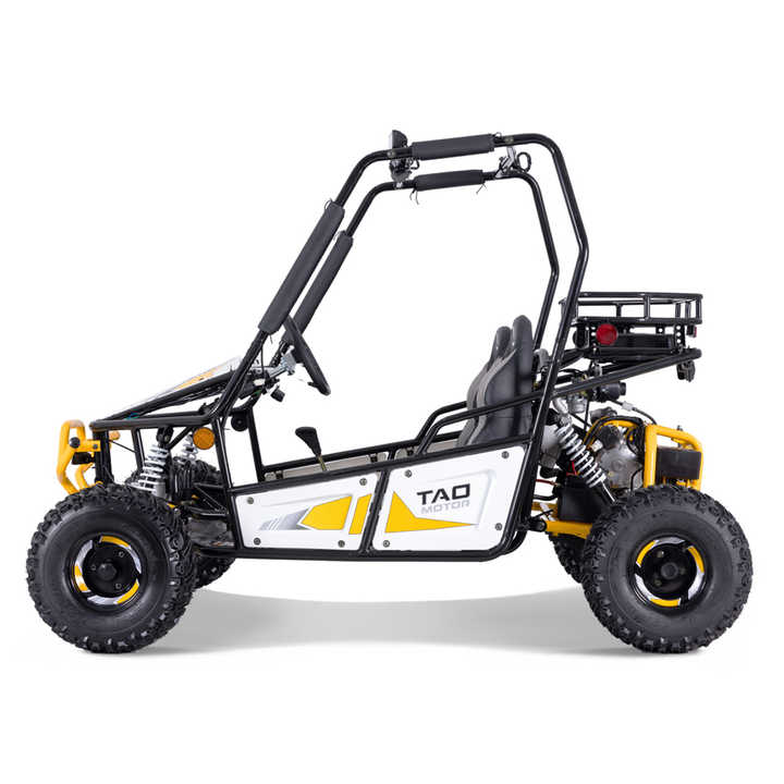 Tao Motor 2023 Buggy 125cc Go Karts for Adults - Fun & Thrill