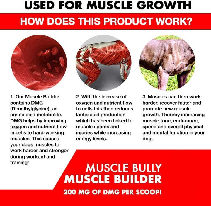 High Protein 10-in-1 Pet Food Supplement for Muscle Growth