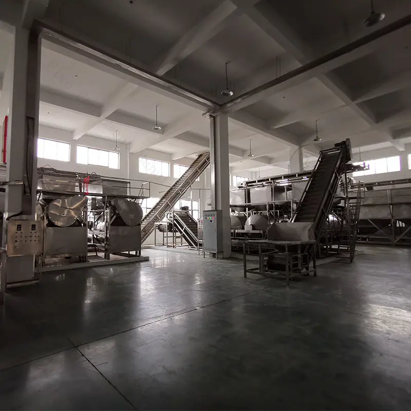 High Efficiency Pecan Processing Line Complete Sheller Peeler Grading ...