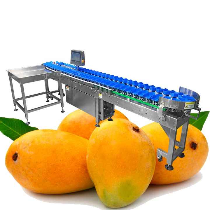 Efficient Fruit Sorting with Automatic Rotary Weight Grading Machine