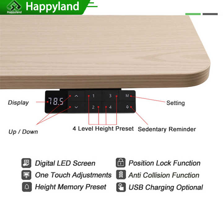 Smart Dual Motor Electric Motorized Office Desk Ergonomic Sit Stand ...