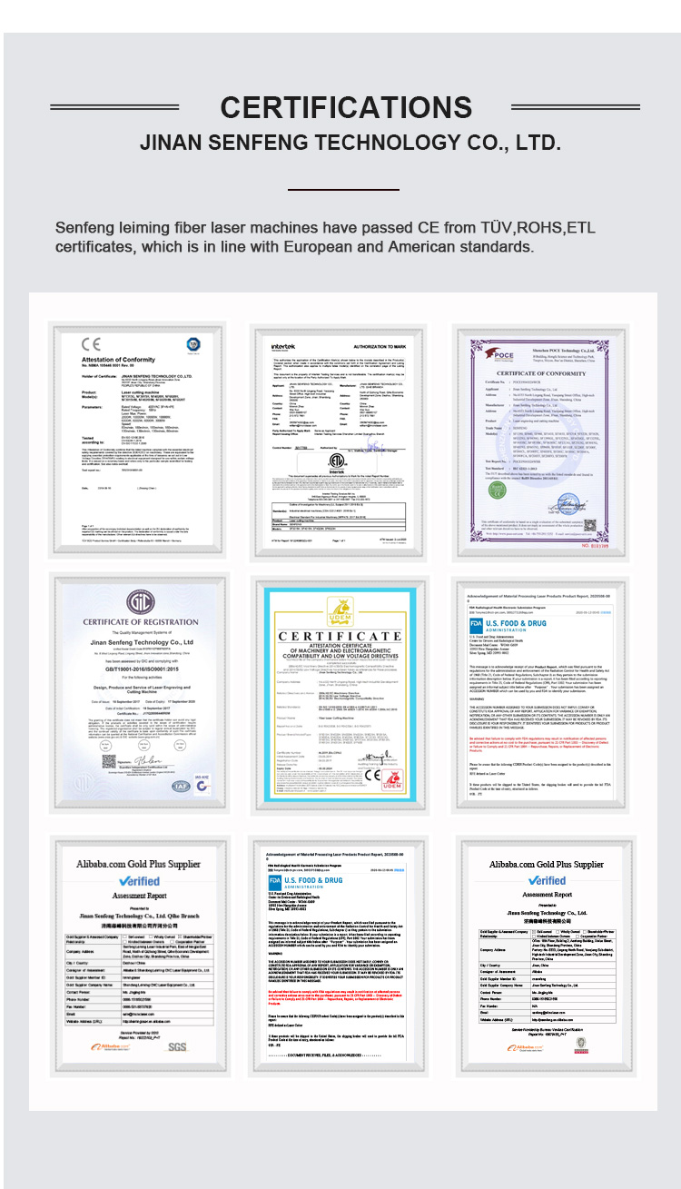 SENFENG CNC Hydraulic Servo Press Brake for Precision Bending