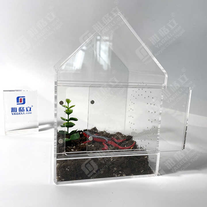 Transparent Tarantula Enclosure - Perfect Spider Terrarium