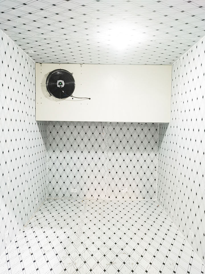 Mobile Expandable Cold Storage Room | Modular System with Quick ...