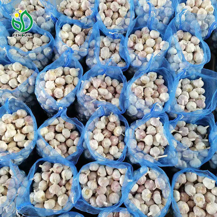 Natural White Garlic Ajos Fresh Garlic Delicious 10kg Mesh Bag Garlic ...