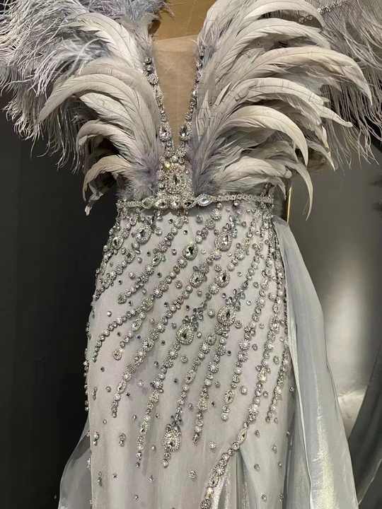 QUEENS GOWN Stage Dress Costume Dress With Ostrich Feather Lace Luxury ...