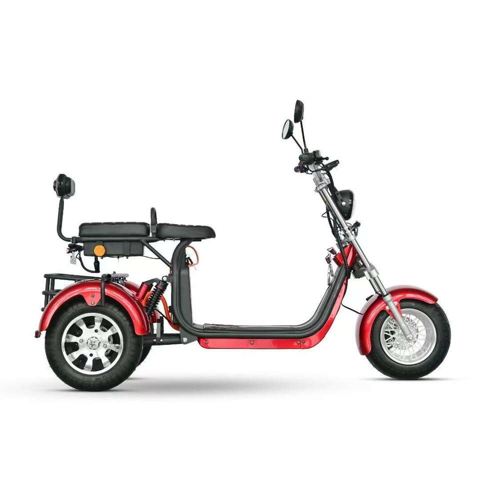 2026 Electric Three-Wheel Adult Tricycle Open Body Motorcycle Bicycle ...