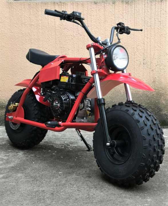 2020 New 196CC Mini Chopper Motorcycle for Sale - Gas Engine, Easy Pull ...