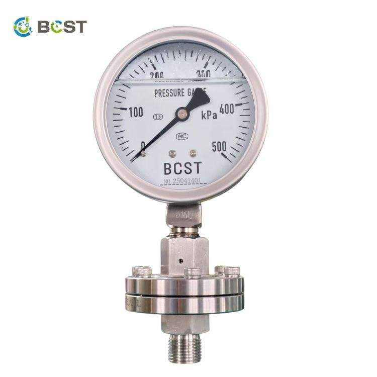 BCST Robust Industrial Pressure Gauge for Air, Water, and Oil ...