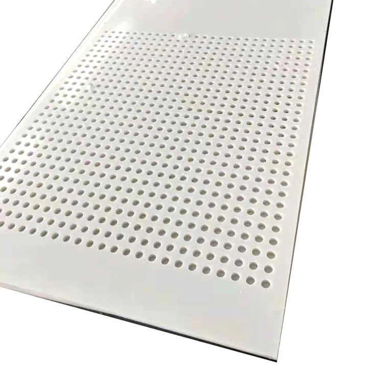 ZSPE Custom PVC HDPE Plastic Perforated Sheet PP Plate