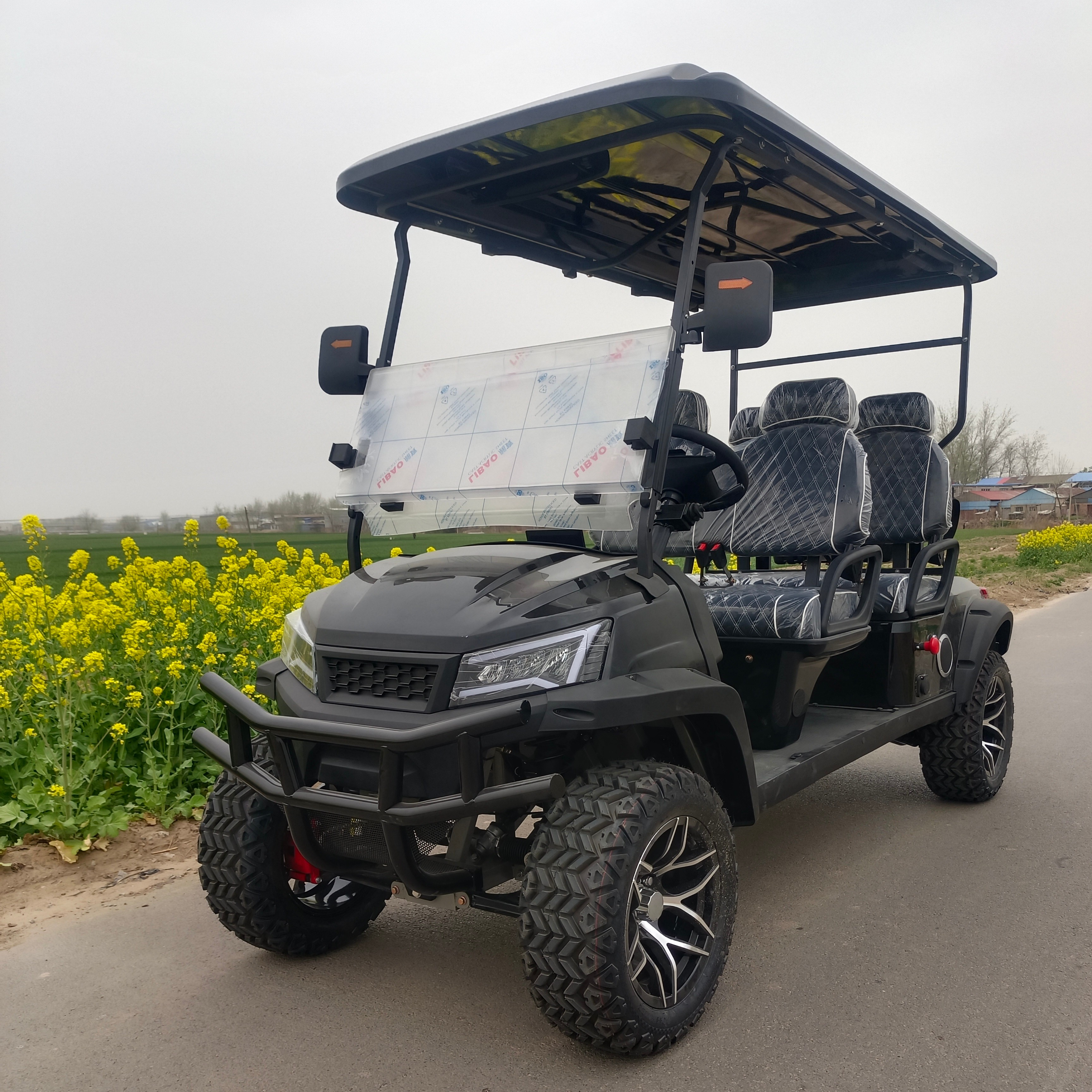 Chinese Golf Carts - High Quality 4-6 Seater Electric