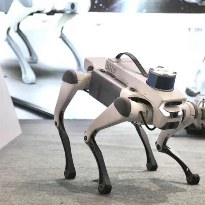 AI Vision Robot Dog Quadruped Robot Dog Powered by Education Robotic ...
