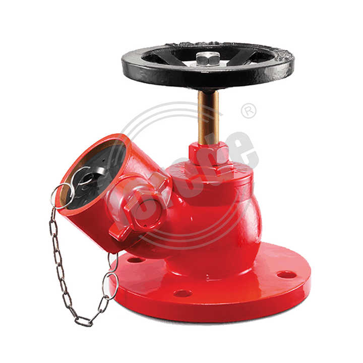 2.5 Inch Oblique Flange Fire Hydrant Landing Valve for Dry Riser