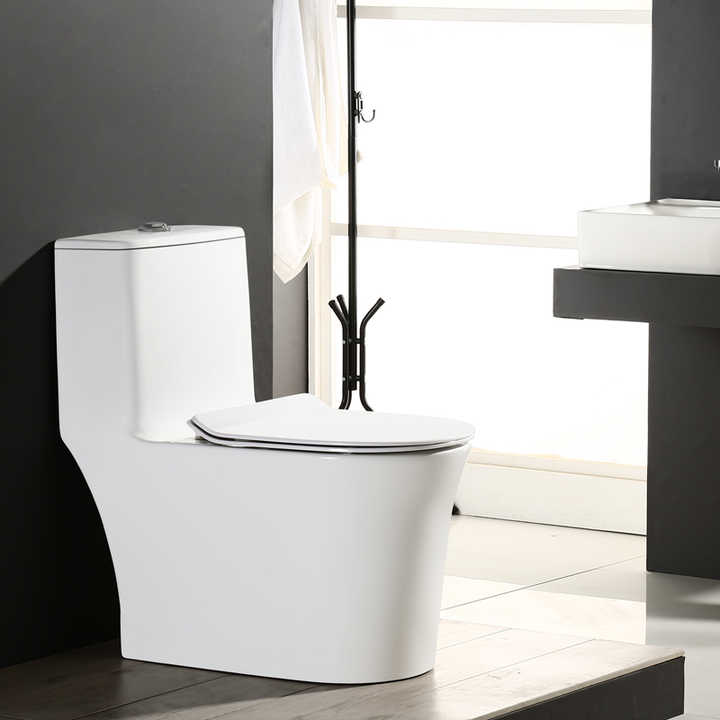 Modern Elongated One Piece White Ceramics Sanitary Ware WC Toilet Home ...