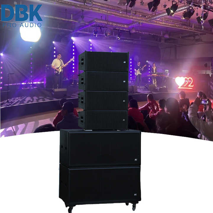 Professional Line Array PA System - Dual 10 Inch Speakers