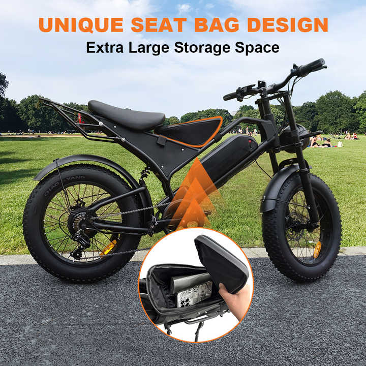 48V Electric Bike for Adults - High Performance & Durability