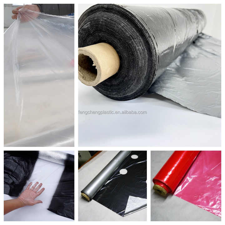 Perforated LDPE Polythene Mulching Sheet for Vegetable Farms ...