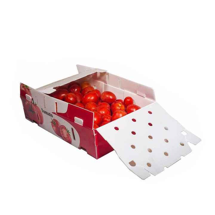 Tomato Plastic Corflute Packaging Box| Alibaba.com